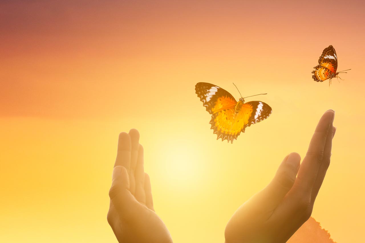 Prioritizing Change in Fraternity and Sorority Life | AFA